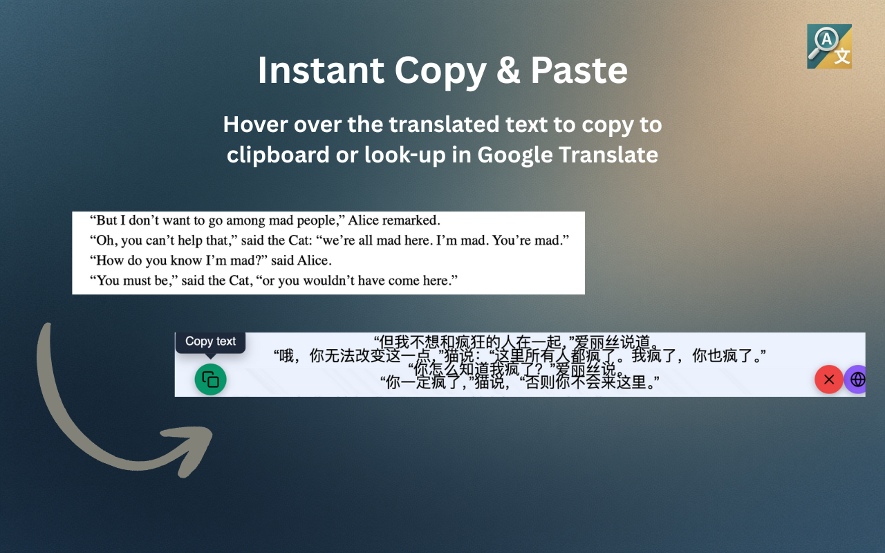 Illuminate | OCR & Translation Extension